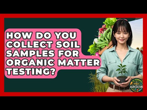 How Do You Collect Soil Samples For Organic Matter Testing? - The World of Agriculture