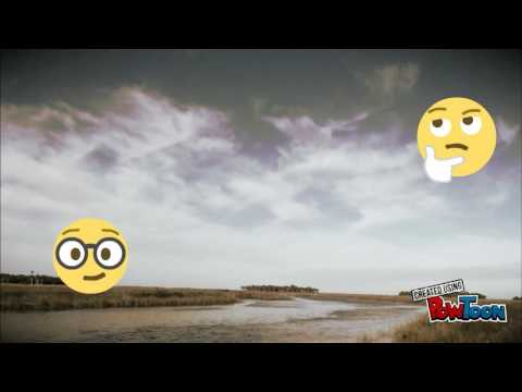 biology ozone layer