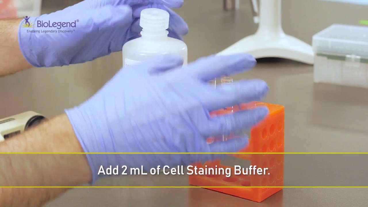Intracellular Phospho Staining For Flow Cytometry