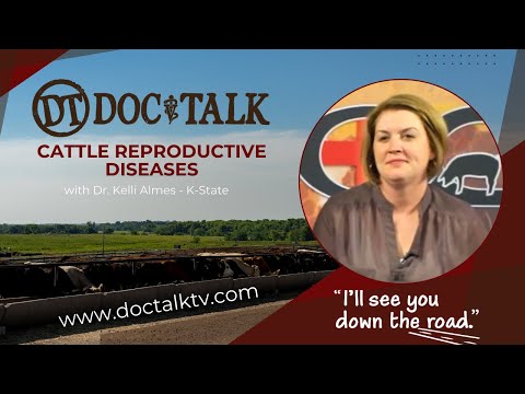 DocTalk Ep 266 - Cattle Reproductive Diseases with Dr. Kelli Almes
