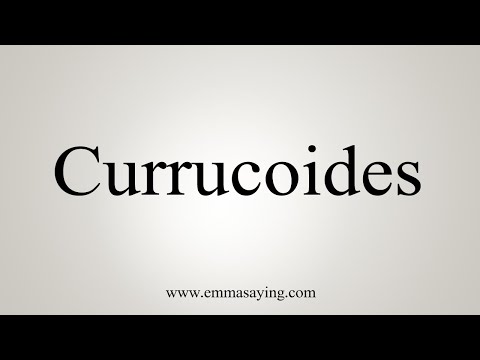 How To Say Currucoides