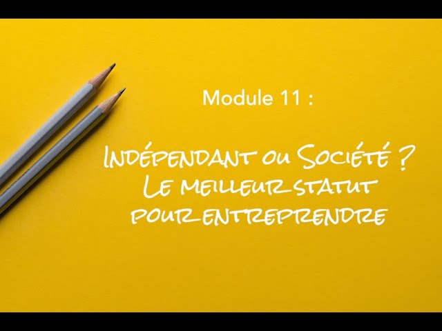 Choosing Between Sole Proprietorship and Company Structure: What ...