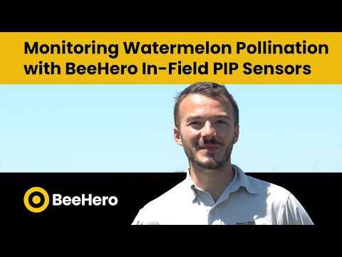 BeeHero - Israeli Startup | Startup Nation Finder