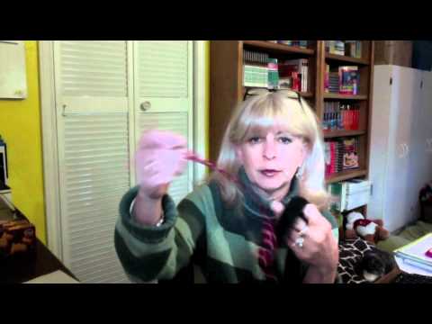 Pawsibilities Dog Collar System Review