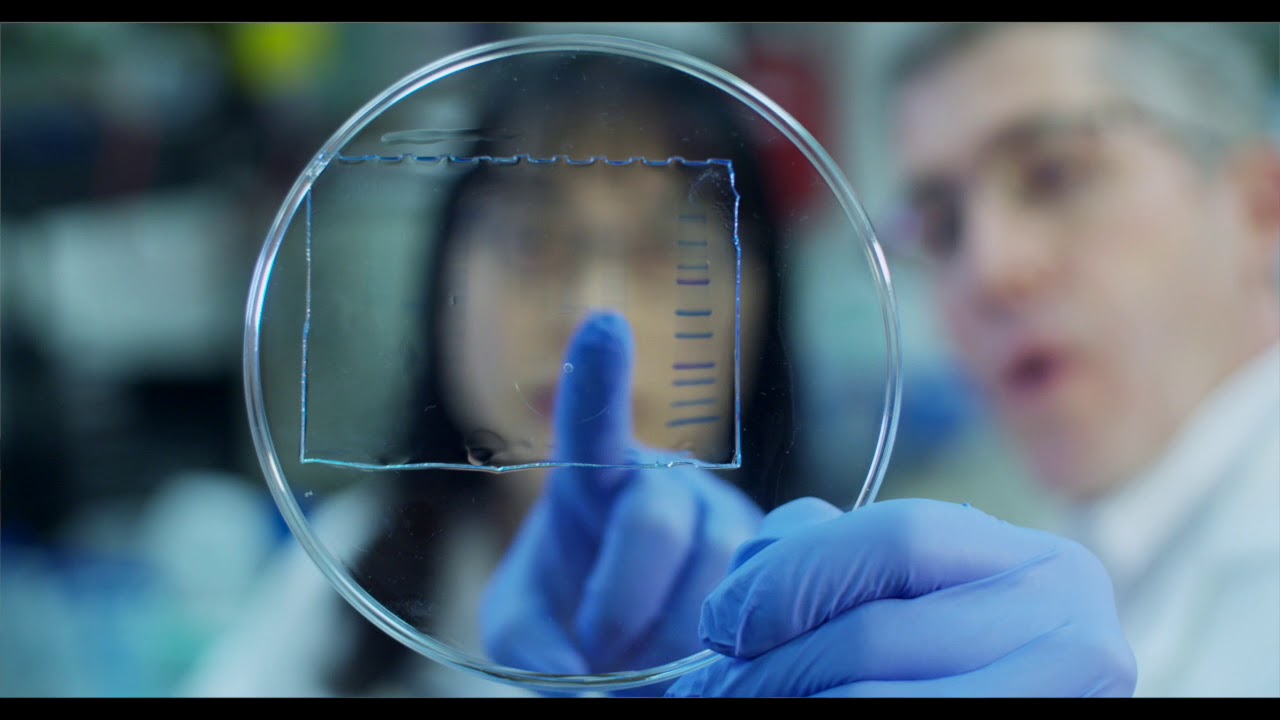 Human Proteoform Project to map proteins in human body – Northwestern ...