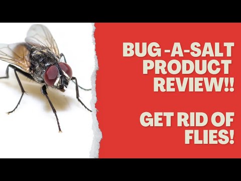 Bug-A-Salt Product Review