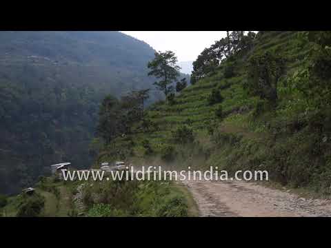 Enjoy the rugged mountain topography while riding through Birethanti