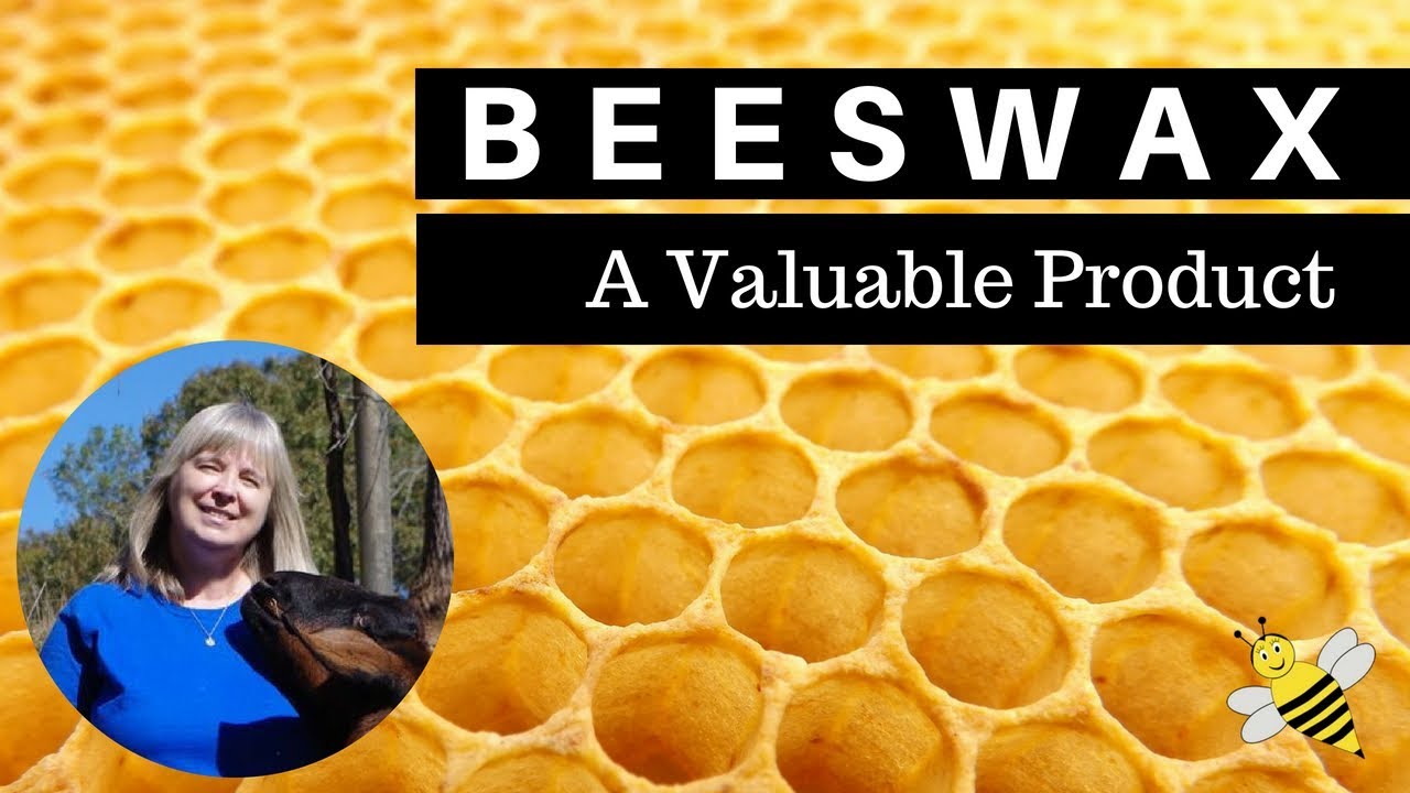 What to Do With Beeswax - Why Is it Useful?