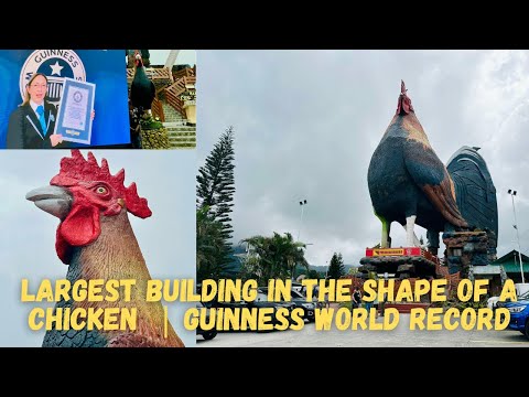 Instagram post on the world’s largest chicken-shaped building – Sad!