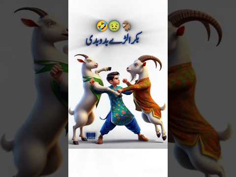 Bado Badi funny 🤣 Bakra eid remix lyrics #comedy #funny #trendingshorts #bakraeid