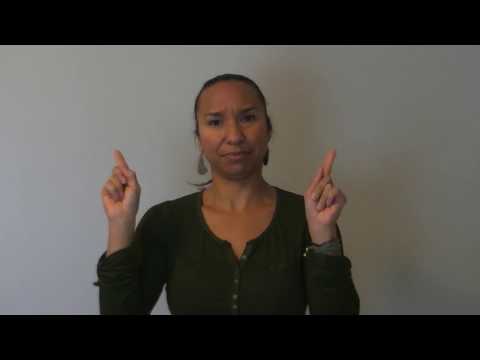 Is Diversity a Mask for Tokenism in the Field of Sign Language Interpreting?