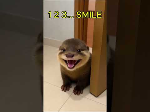 1 2 3... SMILE