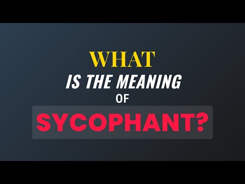 What is the meaning of Sycophant?