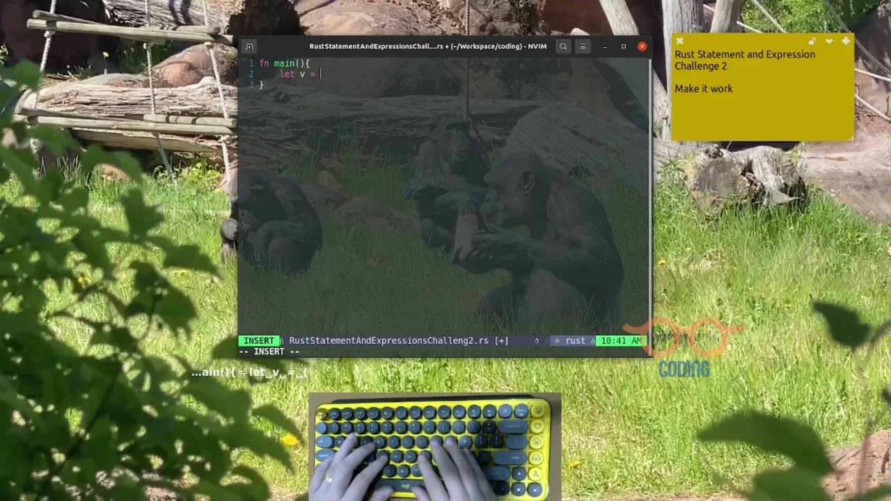 Learning Rust Programming -  Statement And Expression - Challenge 2 | ASMR Coding