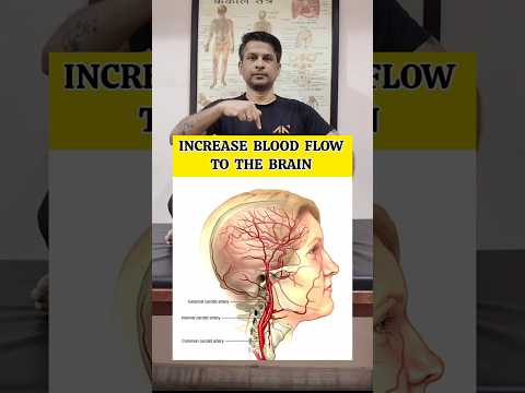 Best Exercise for Increase Blood Flow To The Brain #shorts #tranding