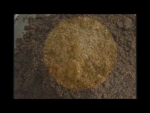 Garam masala powder..for all types of Biryani,pulav& non-veg curries👩🍳