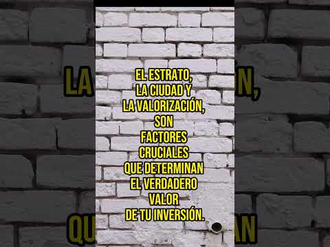 Más Allá de los Ladrillos: Cómo Invertir en tu Próximo Apartamento | Hollmann's Inmobiliaria