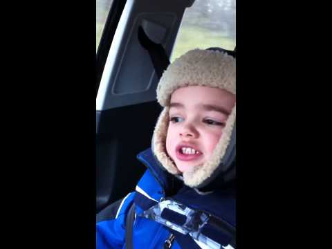 Zane, what's a deciduous tree?