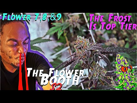 The Flower Booth S2 Ep 4 | Flower Weeks 7, 8, & 9 | The Frost Is Top Teir #goodbudsgenetics