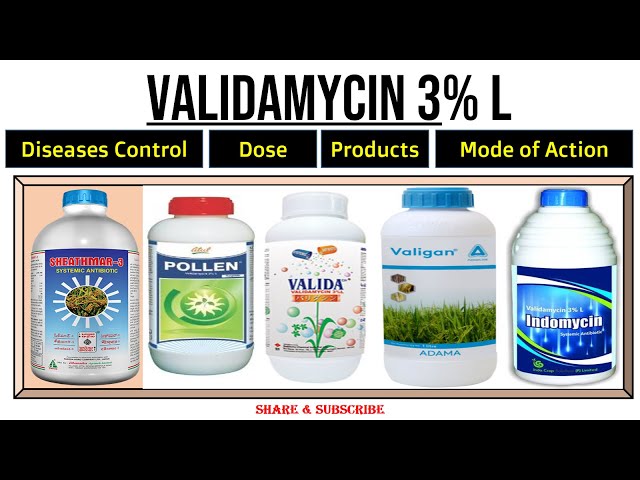 Systemic Antibiotic - Valida Valdamycin 3% L Systemic Antibiotic ...
