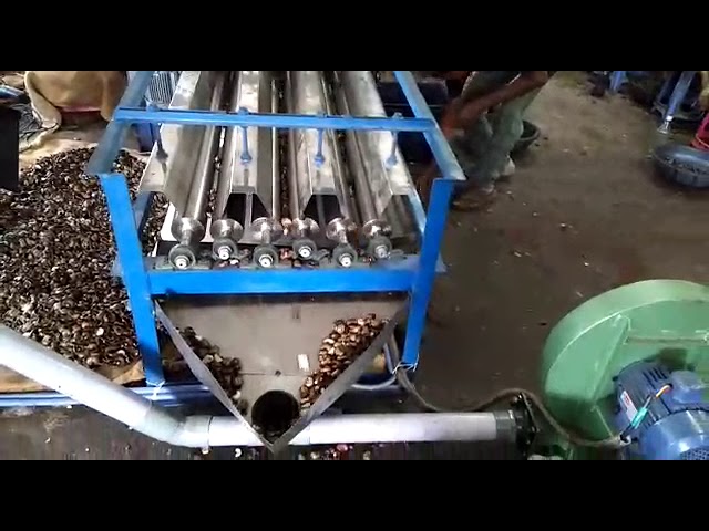 Automatic Cashew Shell Cutting Machine - Cashew Shelling Machine ...