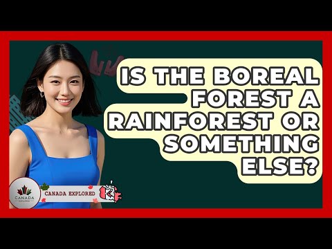 Is The Boreal Forest A Rainforest Or Something Else? - Canada Explored
