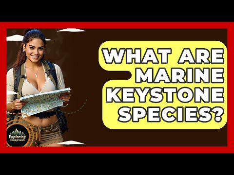 What Are Marine Keystone Species? - Exploring Campgrounds