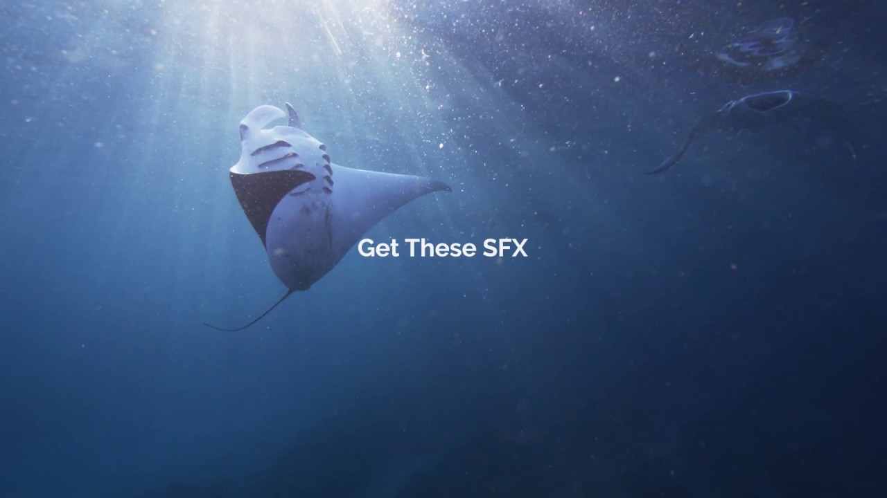 Black Friday SFX Giveaway | Artlist