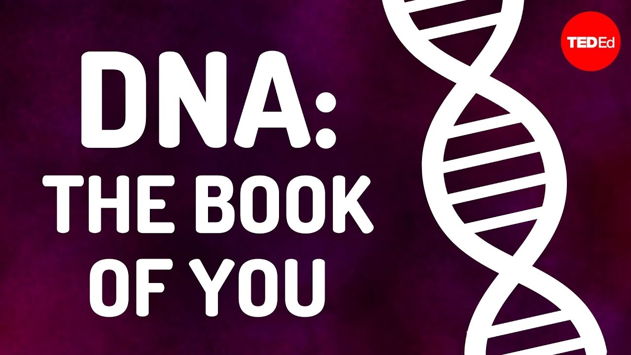 DNA: The book of you - Joe Hanson