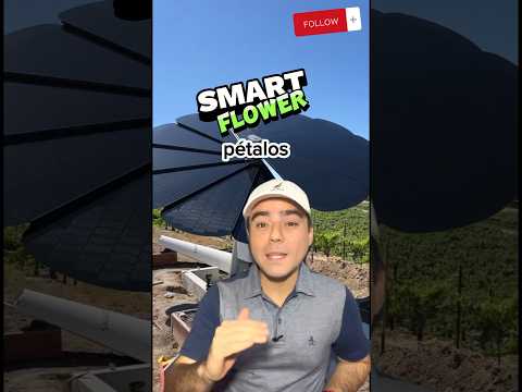SMARTFLOWER la flor que usa PANELES SOLARES ????????♻️ #tec #energiasolar #solartracker #solarenergy
