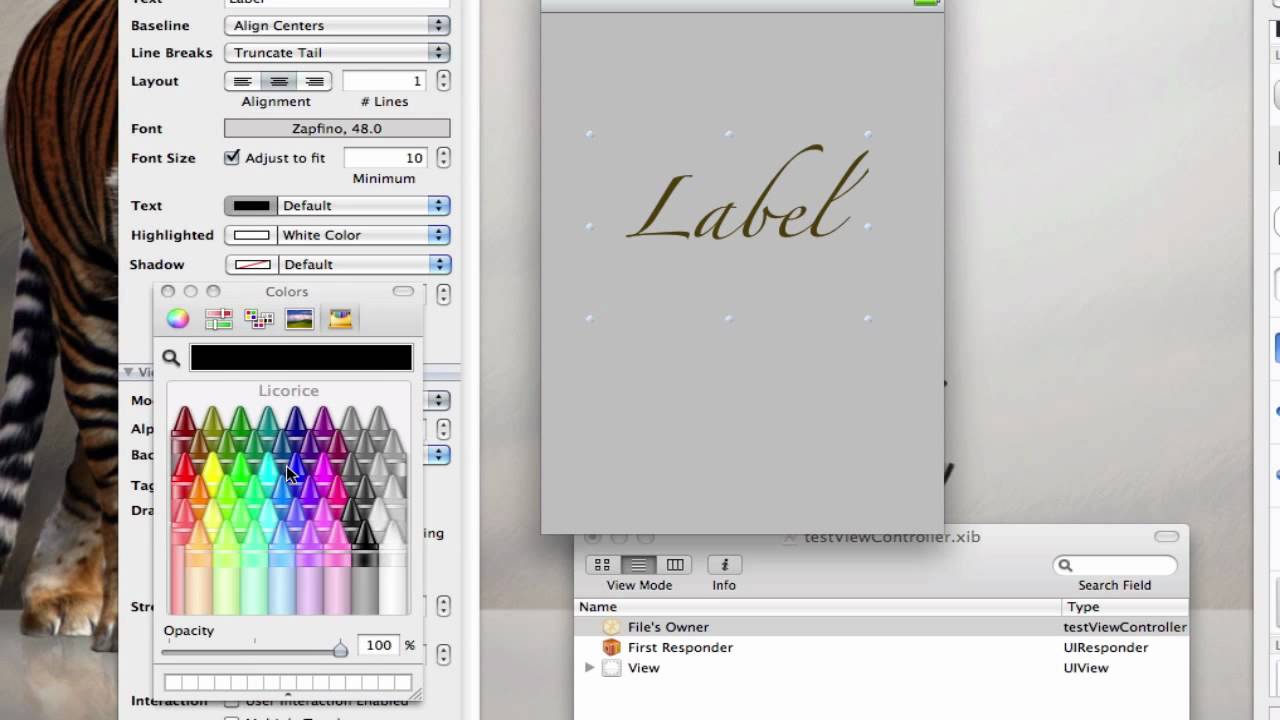 iPhone Programming - How to use Interface Builder