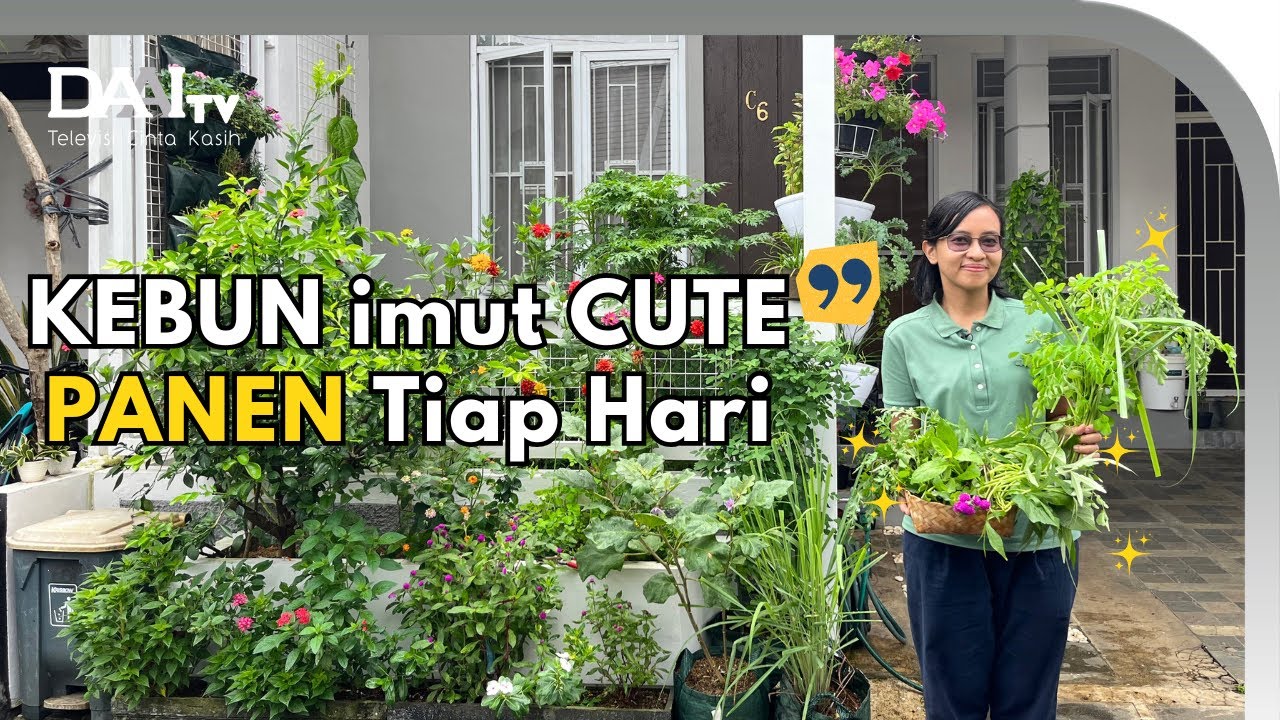 Kebun Super Mini, Tapi Bisa Panen Tiap Hari | Kebun Hening