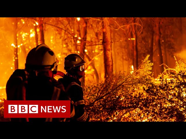 Forest fires in France: Causes and Consequences of Wildfires