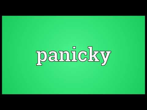 Panicky Meaning