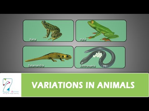 VARIATIONS IN ANIMALS Video Lecture - Class 10