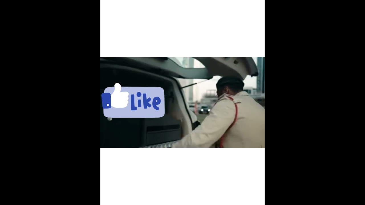 UAE police using dji matrice 200 police works wow