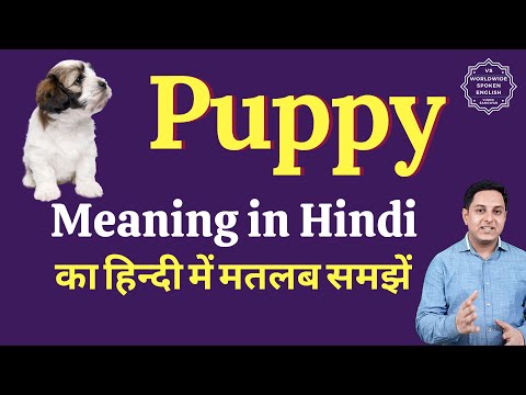 Puppy meaning in Hindi | Puppy ka matlab kya hota hai | Puppy kaisa hota hai