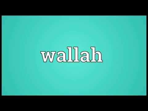 wallah meaning in English