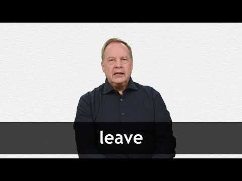 LEAVE 释义 | 柯林斯英语词典