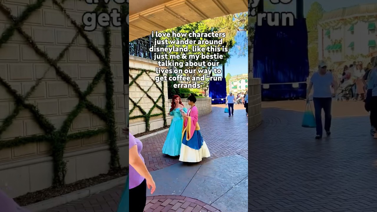 MyDisneyFix | Princess Walks 👑 #disneyland | DFBGuide