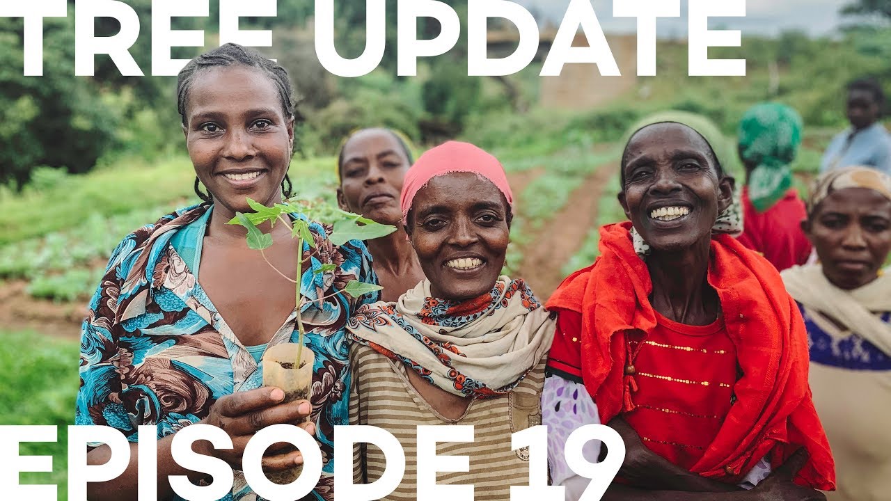 Tree Update Episode 19