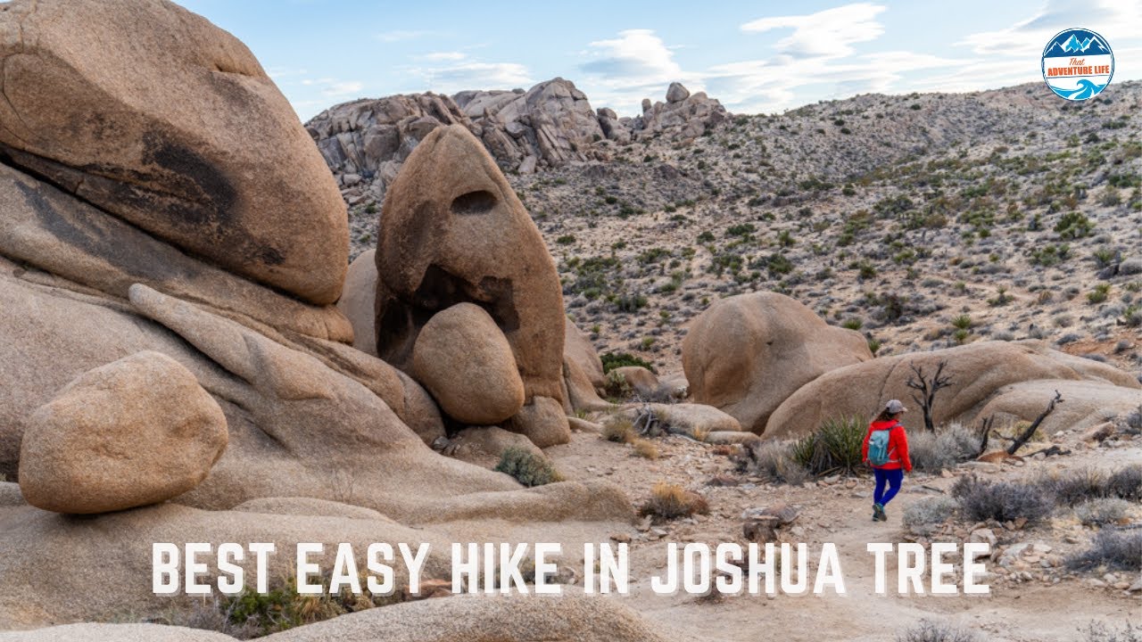 Split Rock Trail, One of the Best Easy Hikes in Joshua Tree National Park