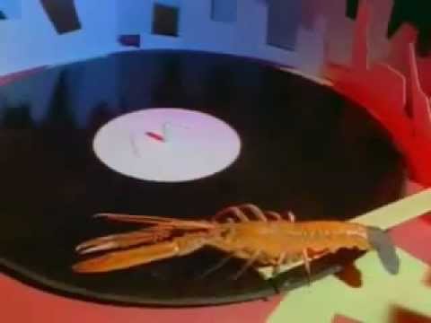 The B52´s - Rock Lobster (Official Music Video)