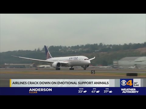 No more emotional-support animals in airplane cabins
