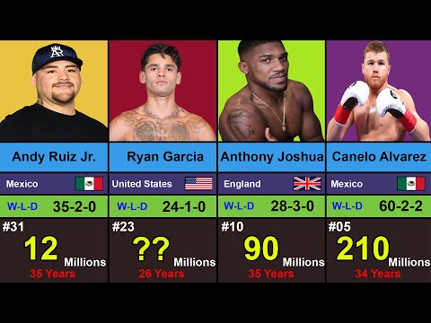 Richest Boxers in the World - Net Worth and Boxing Records - 2024