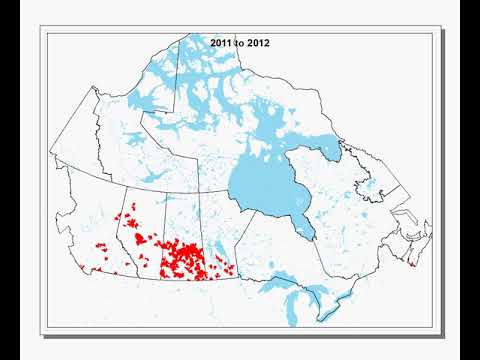 Wild Boar – Updated – Agricultural Service Boards