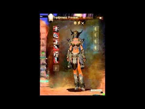 Guild Wars 2 Complete Female Heavy Armor Models - PvP and PvE