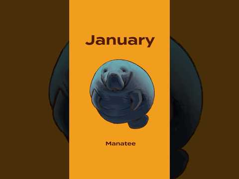 Which Sea Animal are you? 🐙🐋 #art #animation #cute #ocean #animals