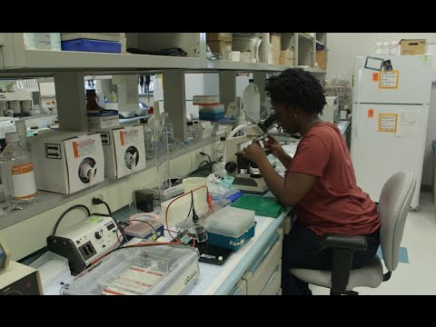 Ann Tells You Why She Loves Medical Research