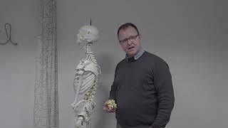 3 Best Osteopath in Cardiff, UK - Expert Recommendations